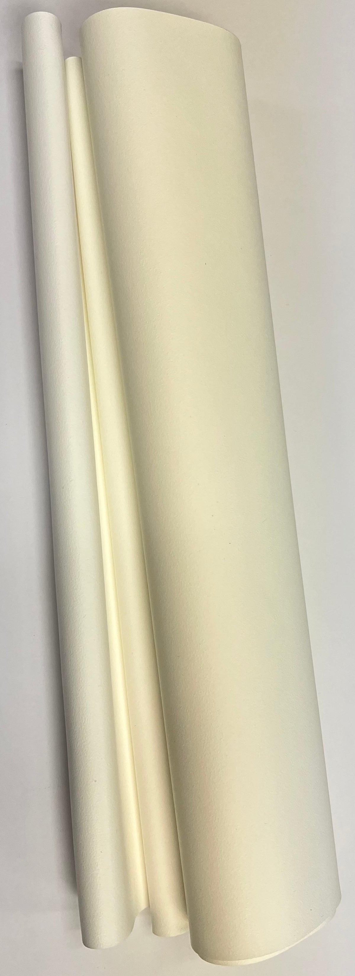 Genuine Ricoh Document Feed Belt | A680-1481 — CP Office Solution Inc.
